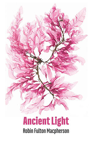Robin Fulton Macpherson - Ancient Light