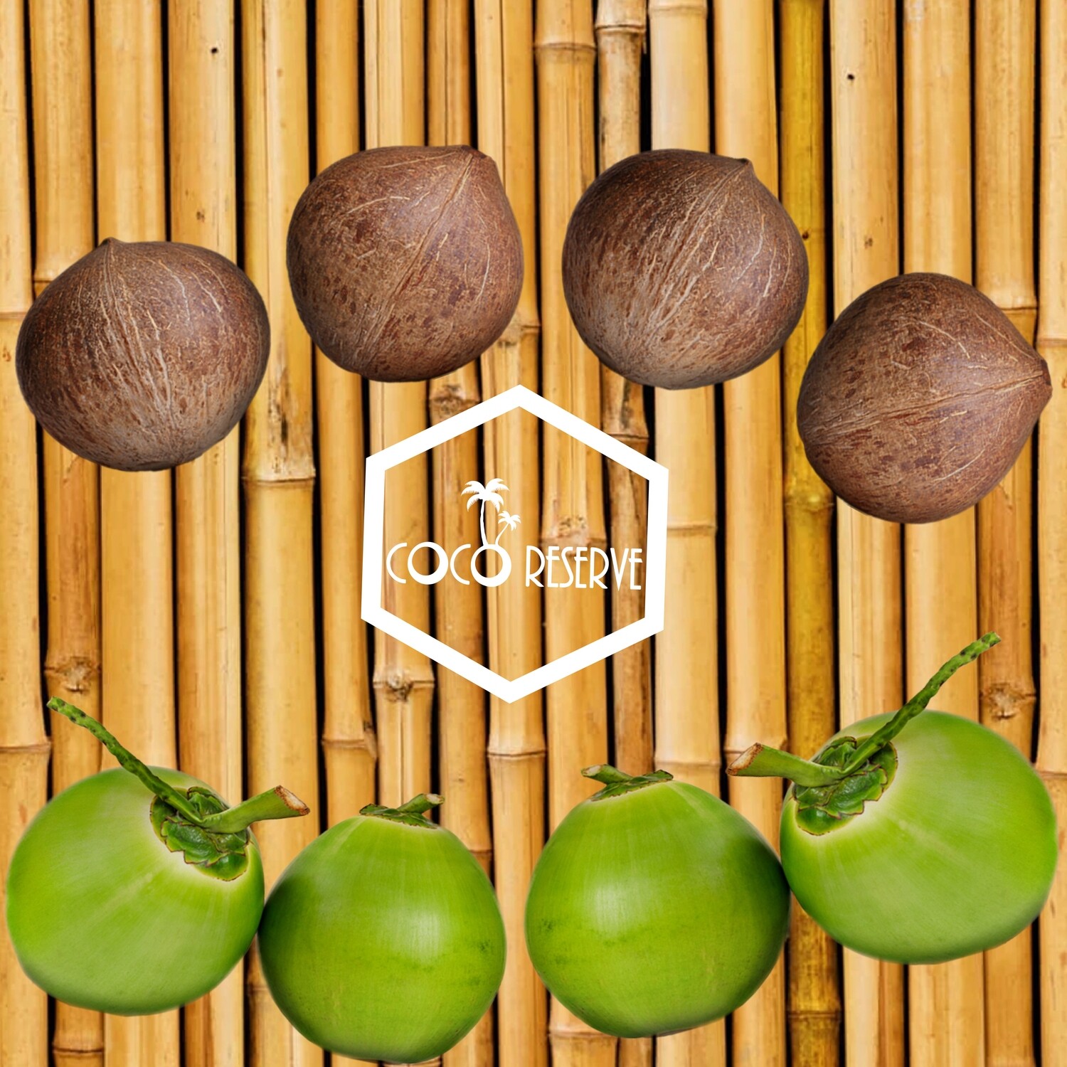 Coconuts - Mixed variety box - Fresh Organic