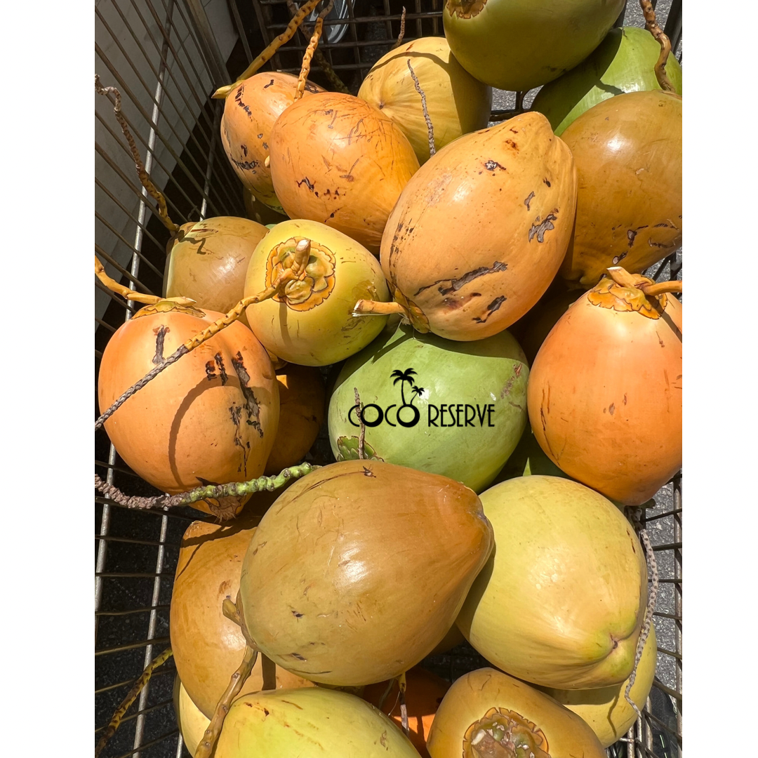 Young Coconut Mixed Variety Box