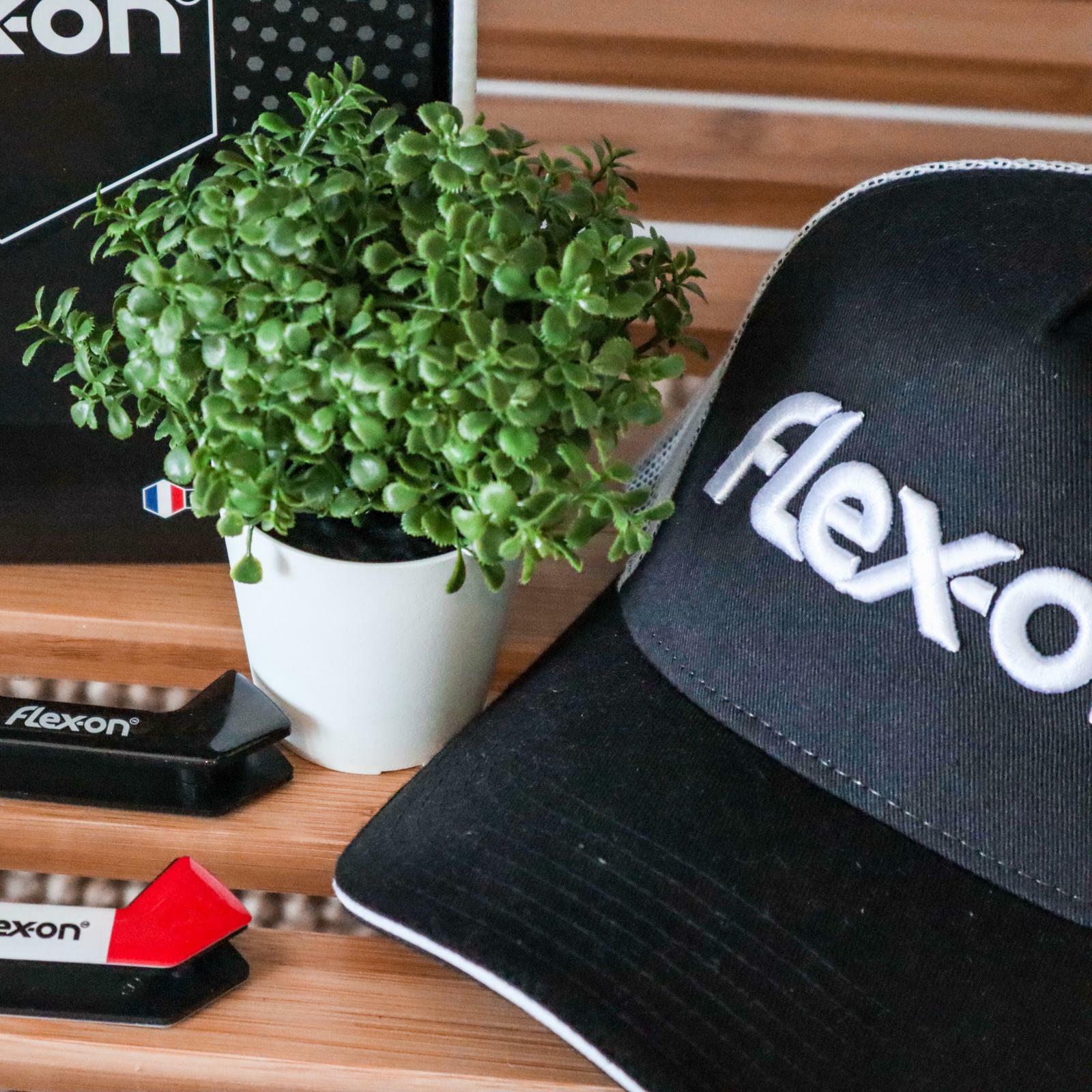 FLEX ON STORE