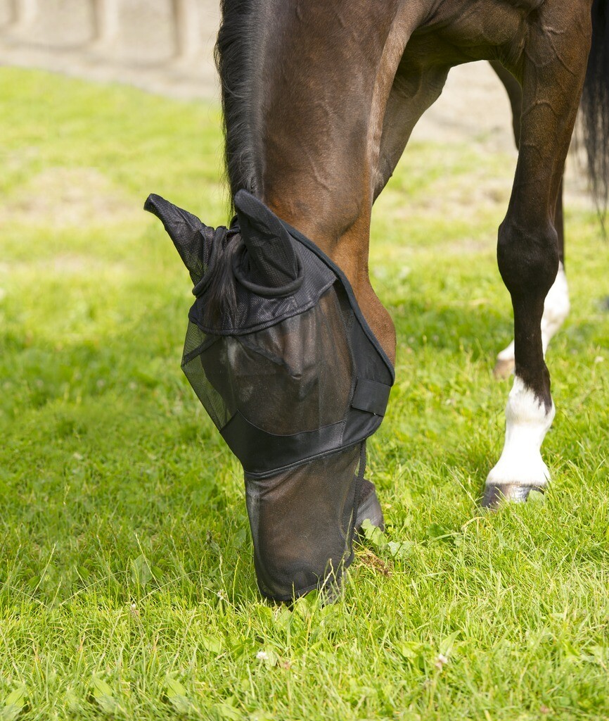 Masque Anti Mouches Filet Fin by EQUITHEME