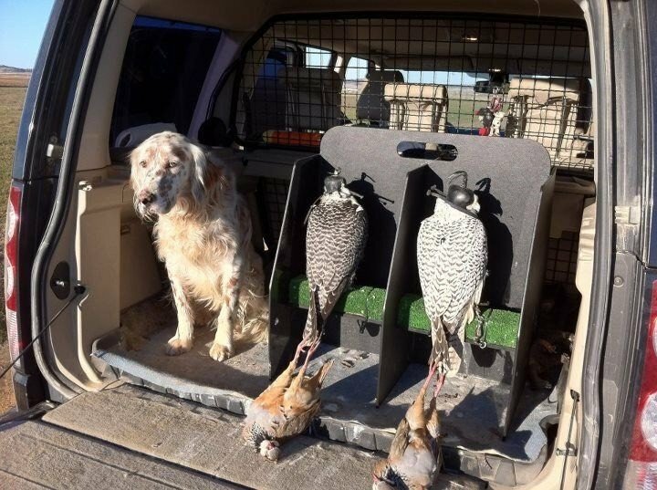 Falconry Travel Box, Hawk Boxes and Falconry Equipment