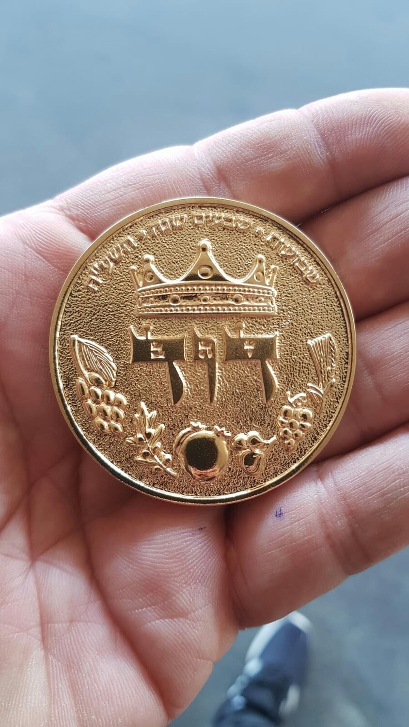 HALF SHEKEL KING DAVID COIN Gold Plated