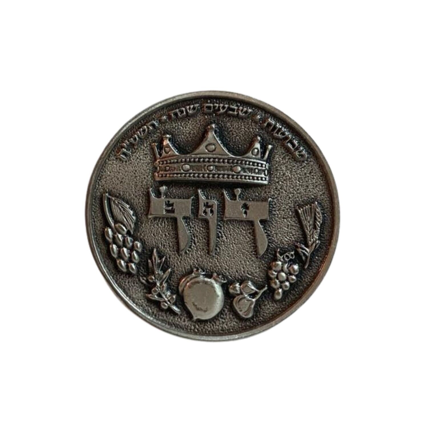 HALF SHEKEL KING DAVID COIN - Silver Plated