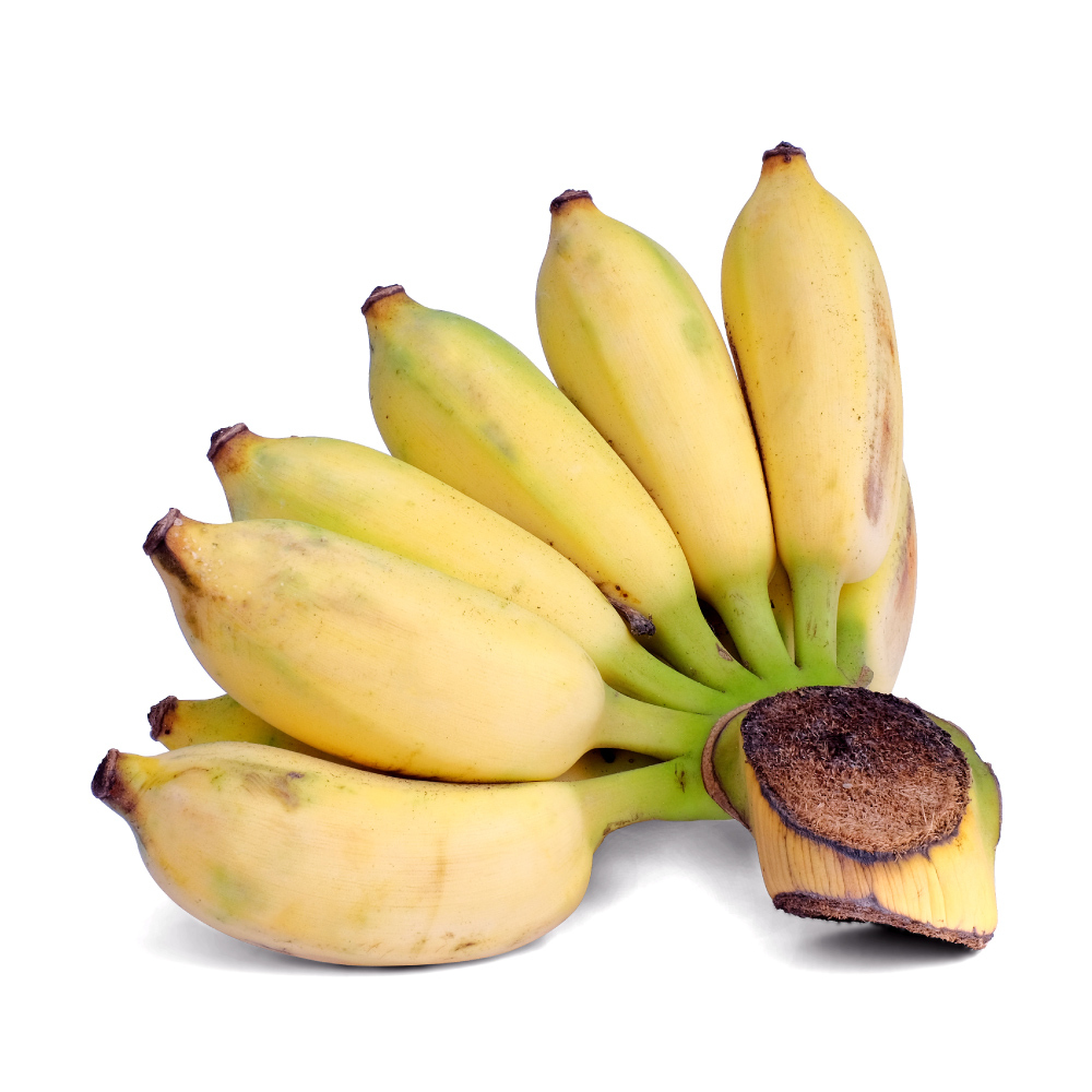 Shop Fresh Produce | Local Hawai'i Products | The Locavore Store | Hilo, HI