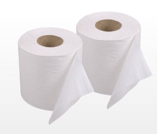 Toilet Paper Eco Soft 1Ply 500 Sht (48 rolls) - Online Store - Core Pack