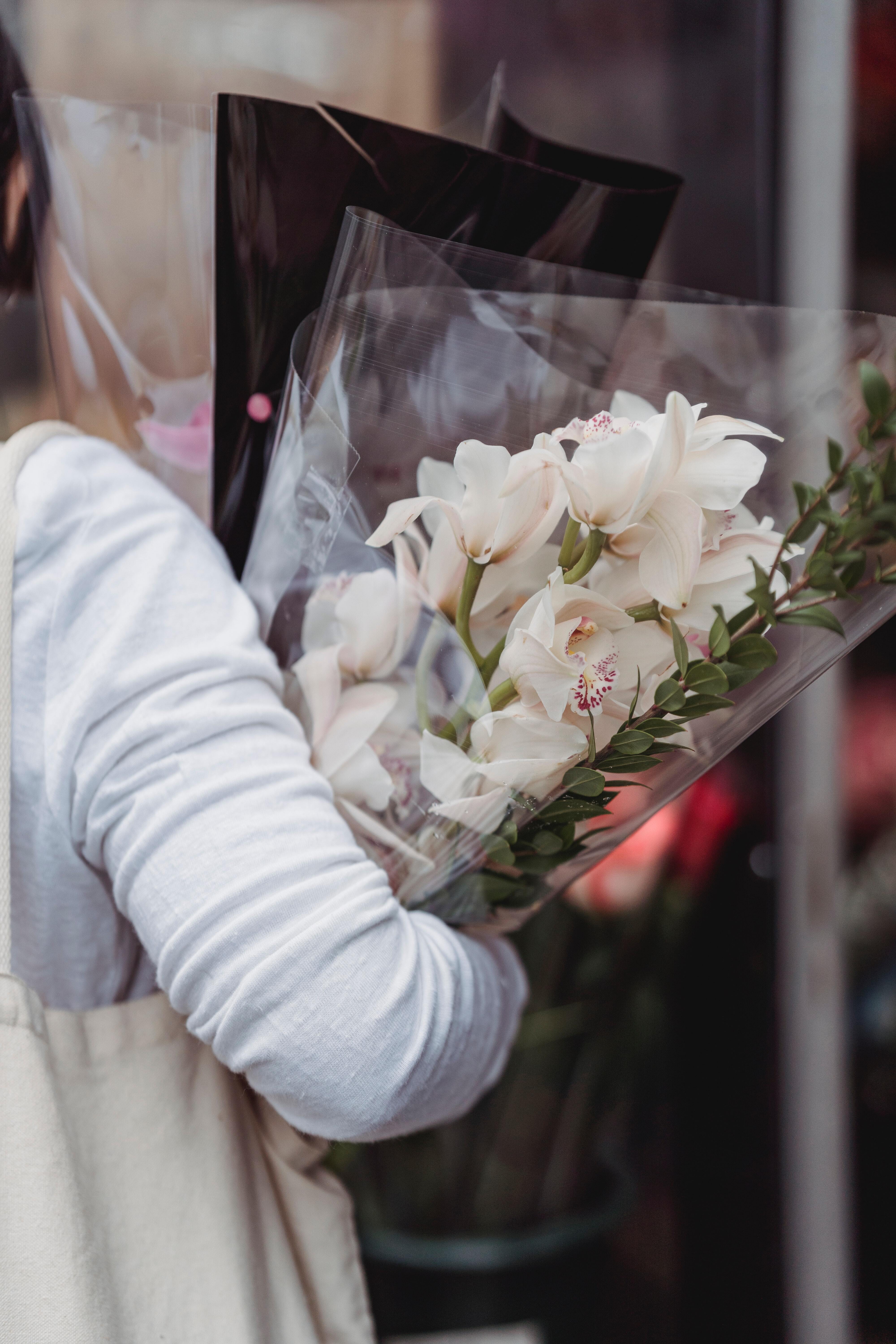 Cellophane - Online Store - Core Pack