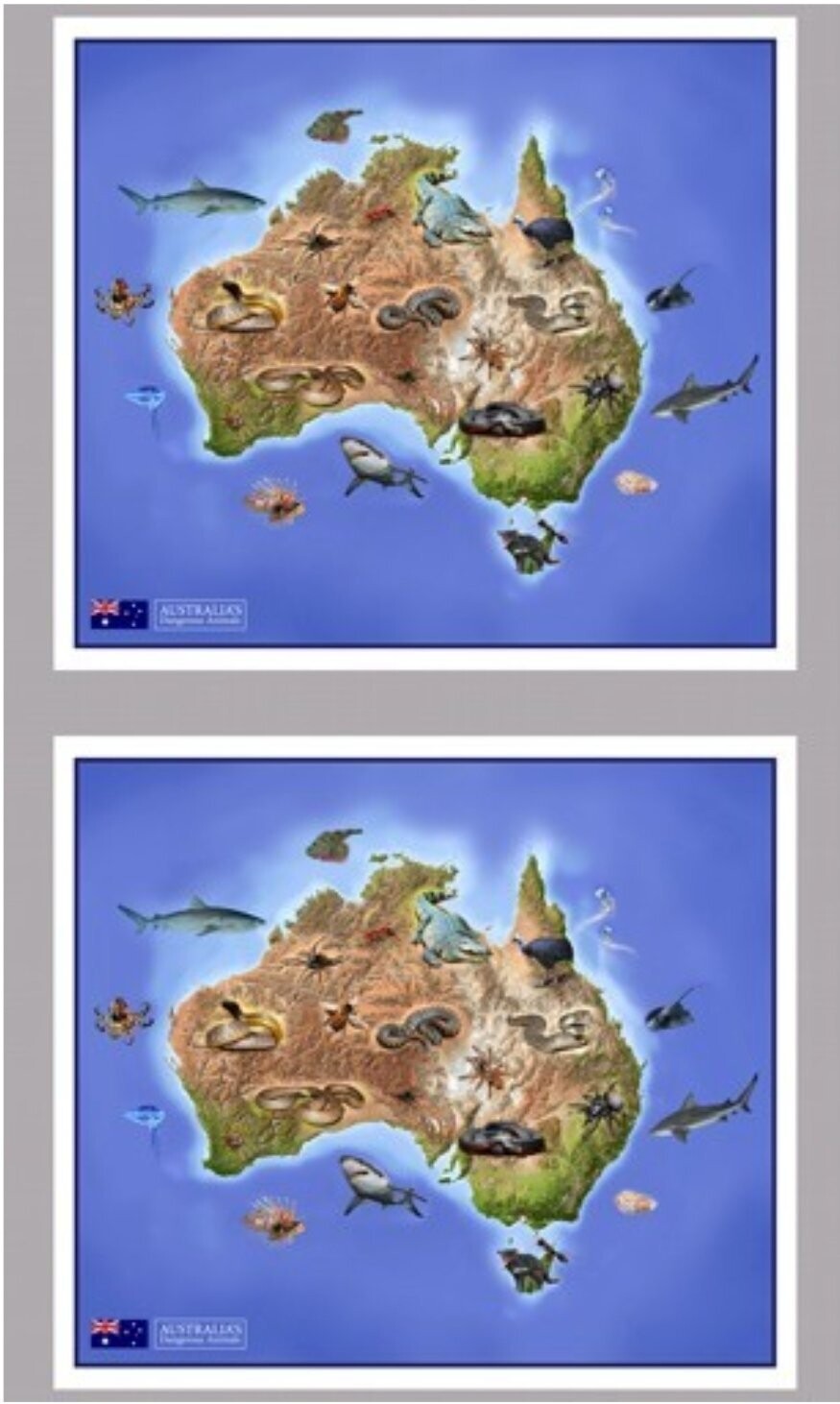 Dangerous Australia A 60cm Map Panel