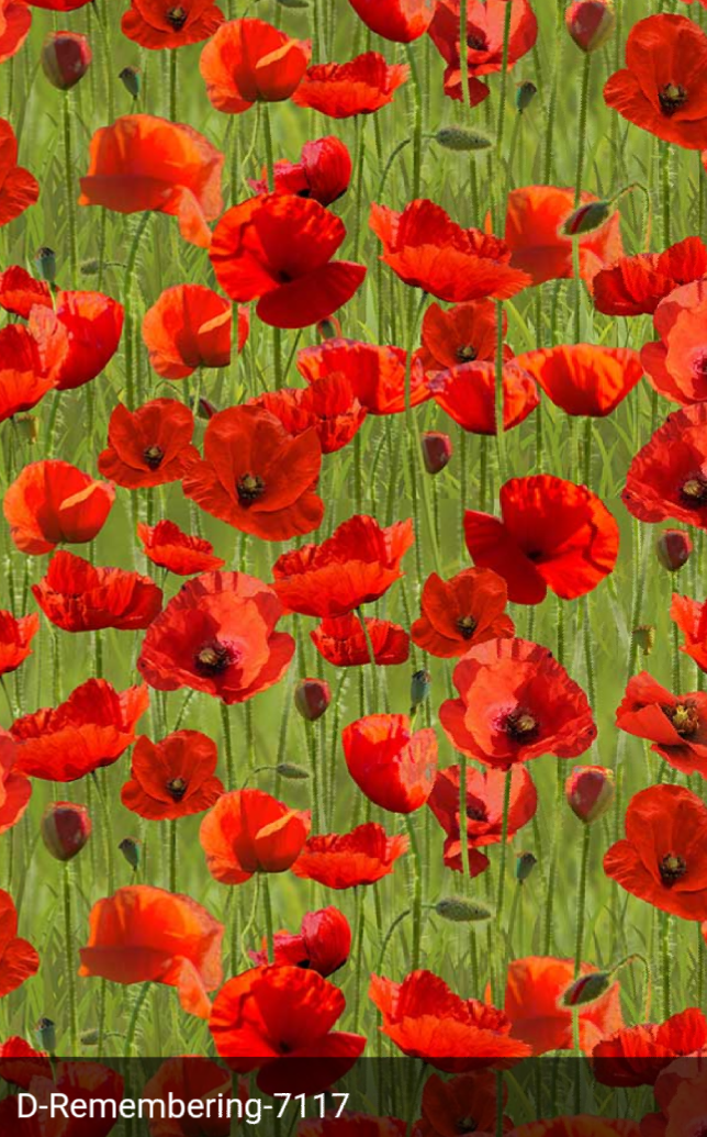 Remembering Poppies Green