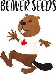 Beaver