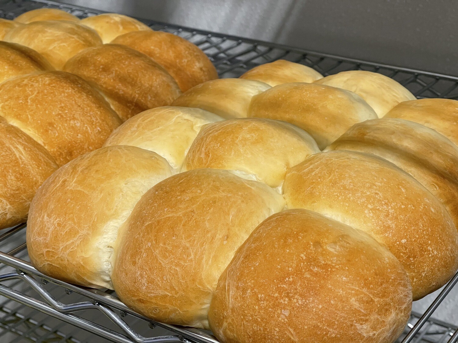 White Buns