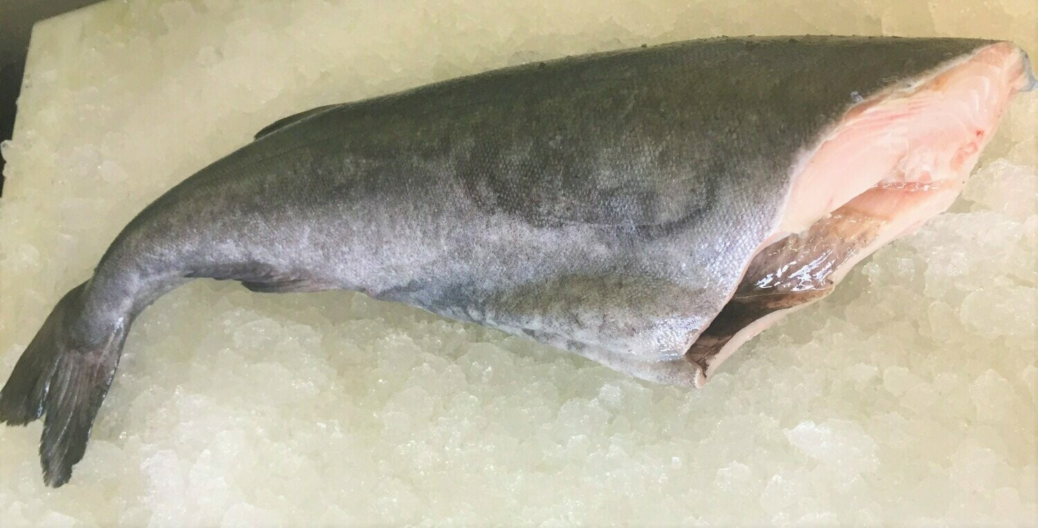 Black Cod, J-cut whole fish