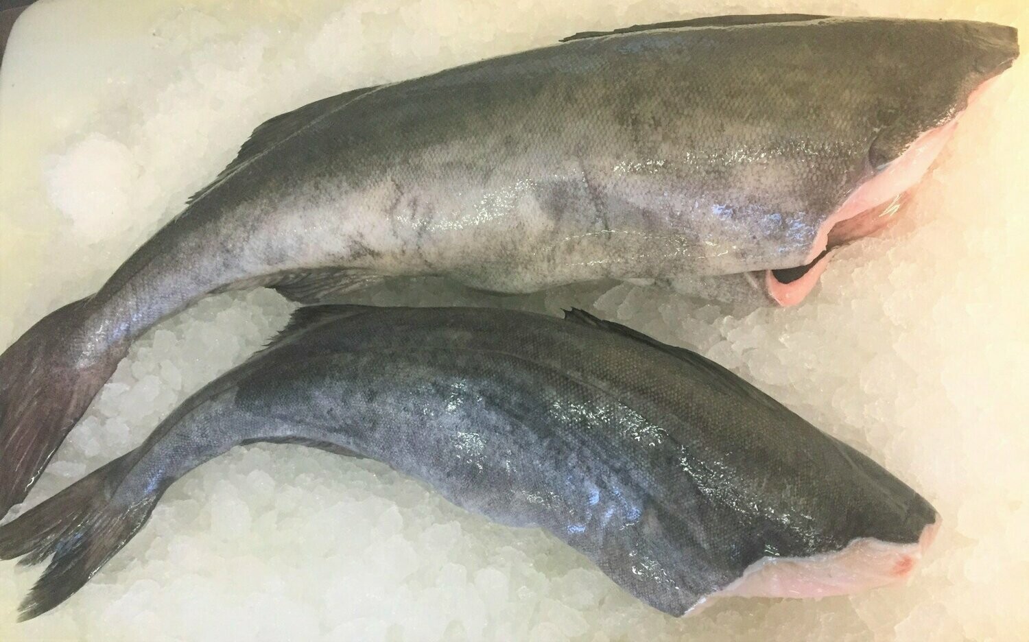 Black Cod, J-cut whole fish