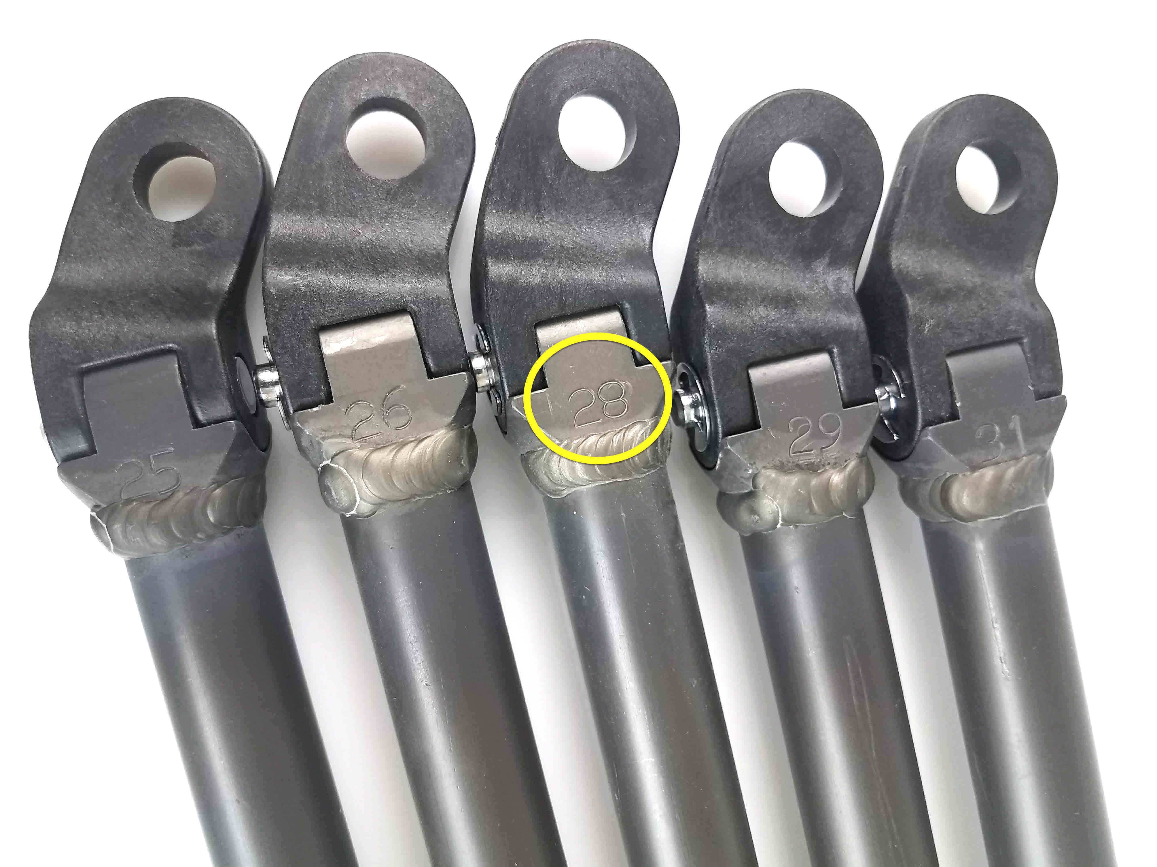 Backstays, Backbraces