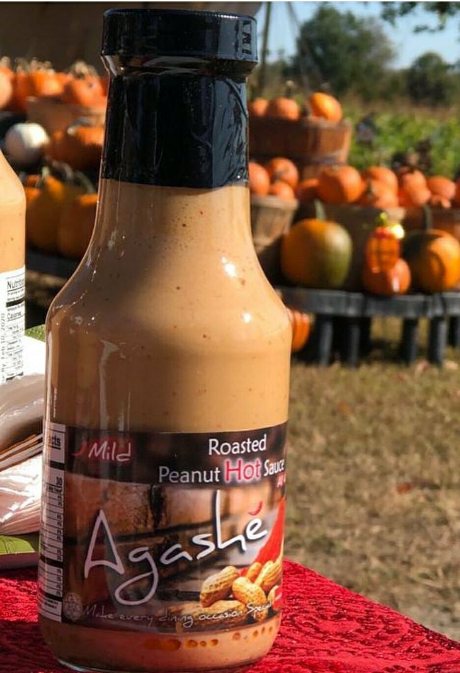 Agashe roasted peanut sauce HOT 310 gr Glass