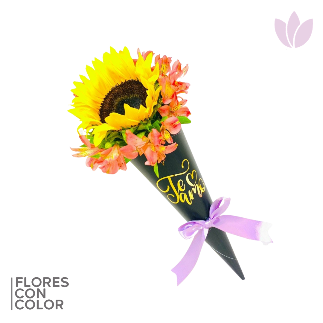 MINI CONO GIRASOL