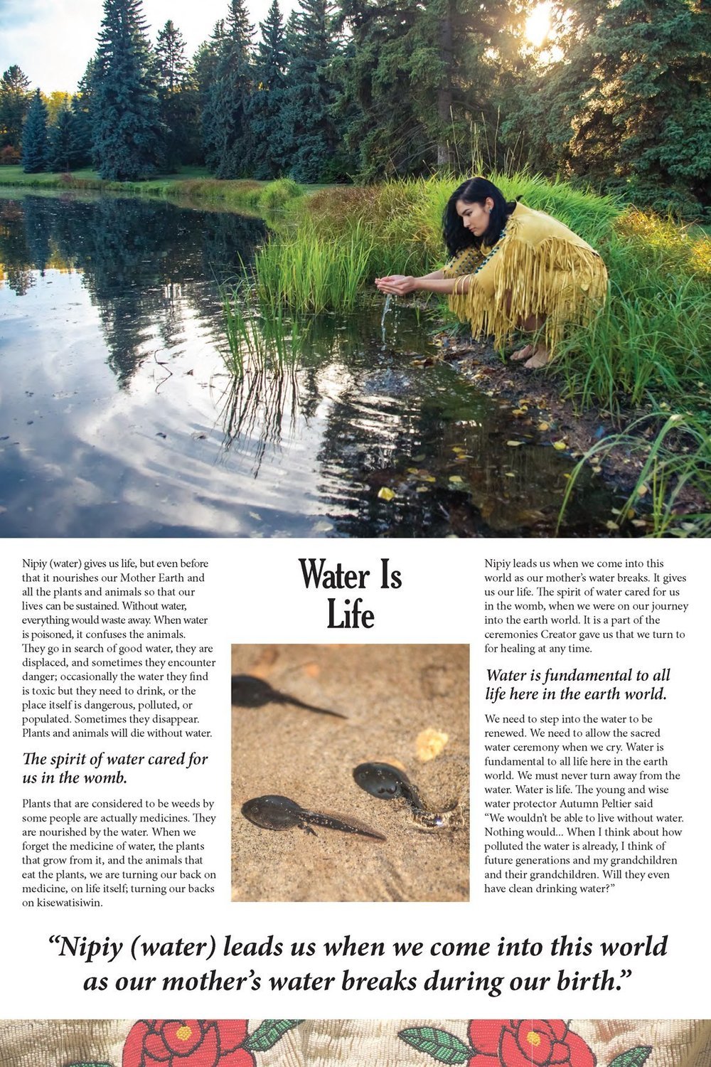 Water is Life Poster