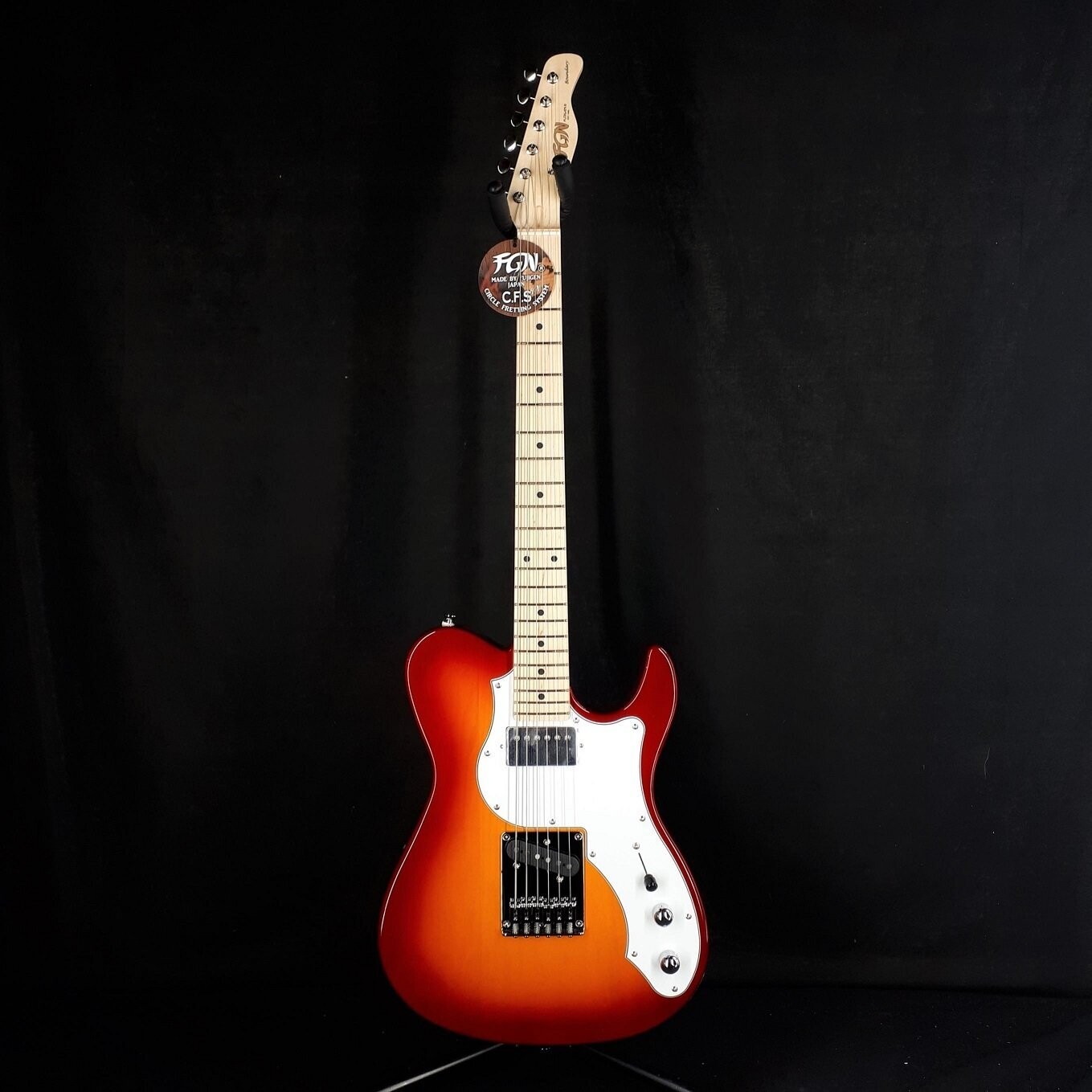 FGN Boundary Illiad tele