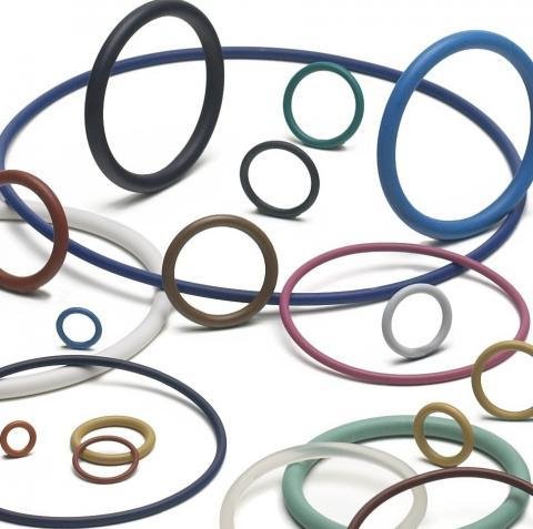 O-Rings & Back-up Rings