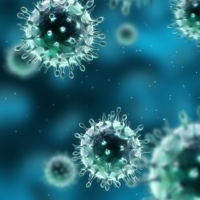 Measles/Mumps/Rubella Negative