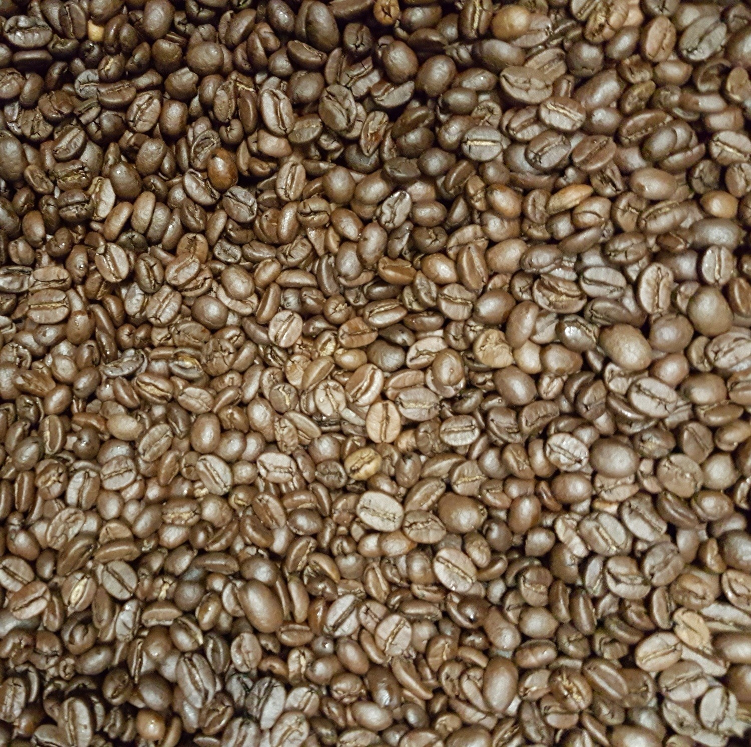 Costa Rican Tarrazu SHB (light)