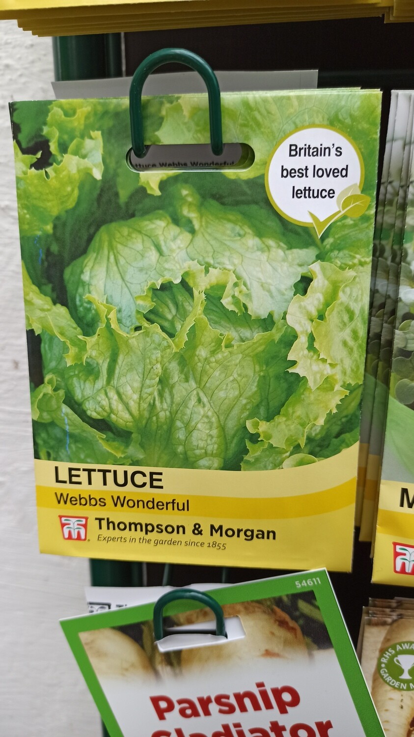 Lettuce Webbs Wonderful