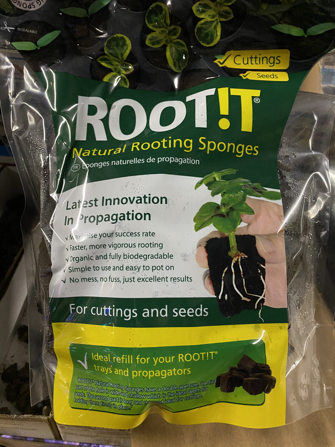ROOT IT PROPAGATION PLUG SPONGES ideal for sowing seeds ,growing ...