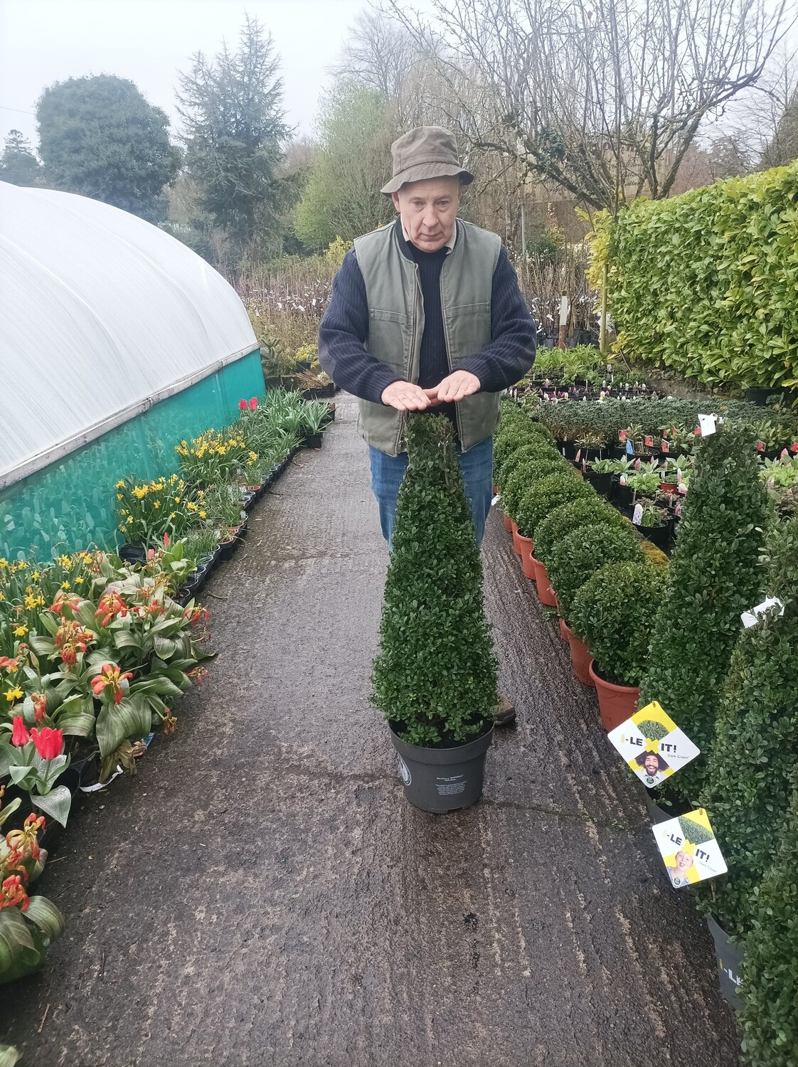 HOLLY BOX PYRAMID (LARGE)