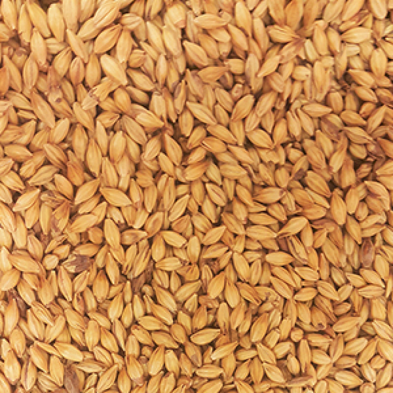 Grains