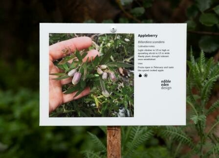 Bush food plant ID signs