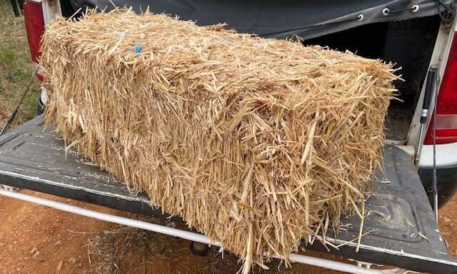 Bulk - 3 x Oaten straw, clean rectangular bales