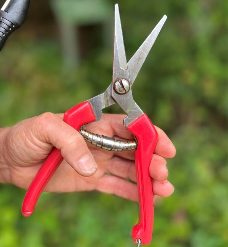 Foraging and Planting Snips for Harvesting, Root Pruning