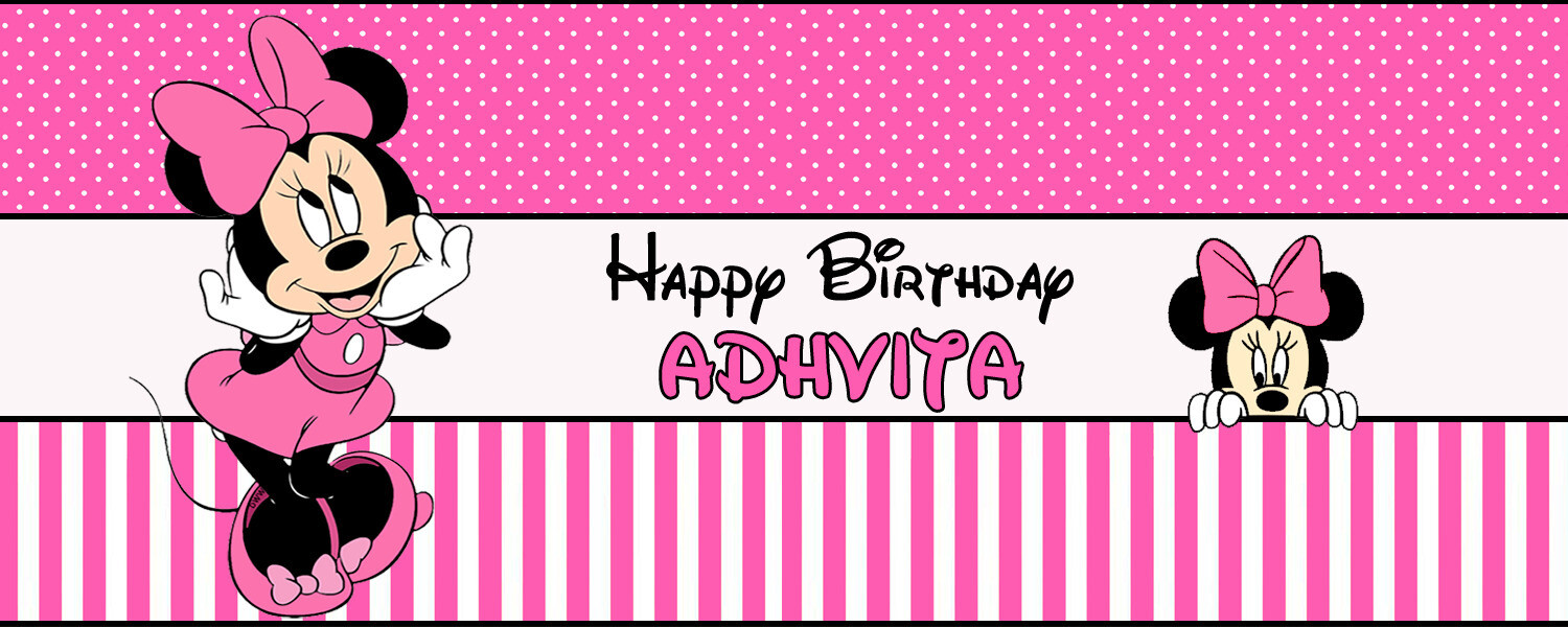 Personalized Minnie Mouse Birthday Backdrop Banner (2ft x 5ft)