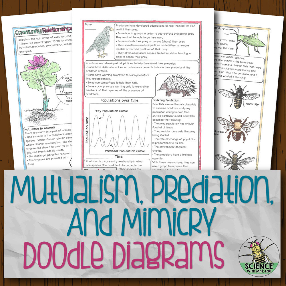Mutualism Predation and Mimicry Doodle Diagrams | Store - Science and ...