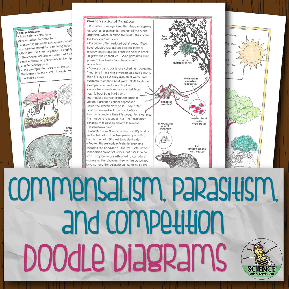 Commensalism Parasitism and Competition Doodle Diagrams | Store ...