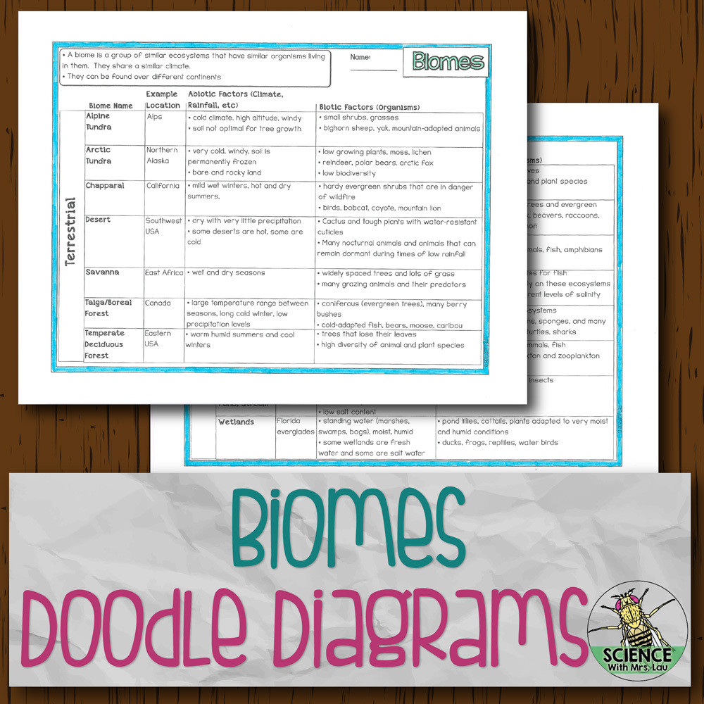 Biomes Doodle Diagrams | Store - Science and Math with Mrs. Lau