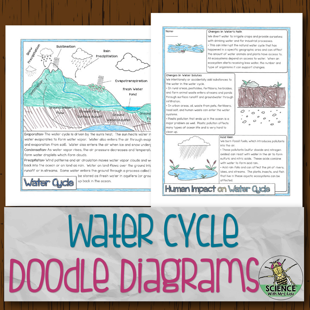 Water Cycle Doodle Diagrams | Store - Science and Math with Mrs. Lau