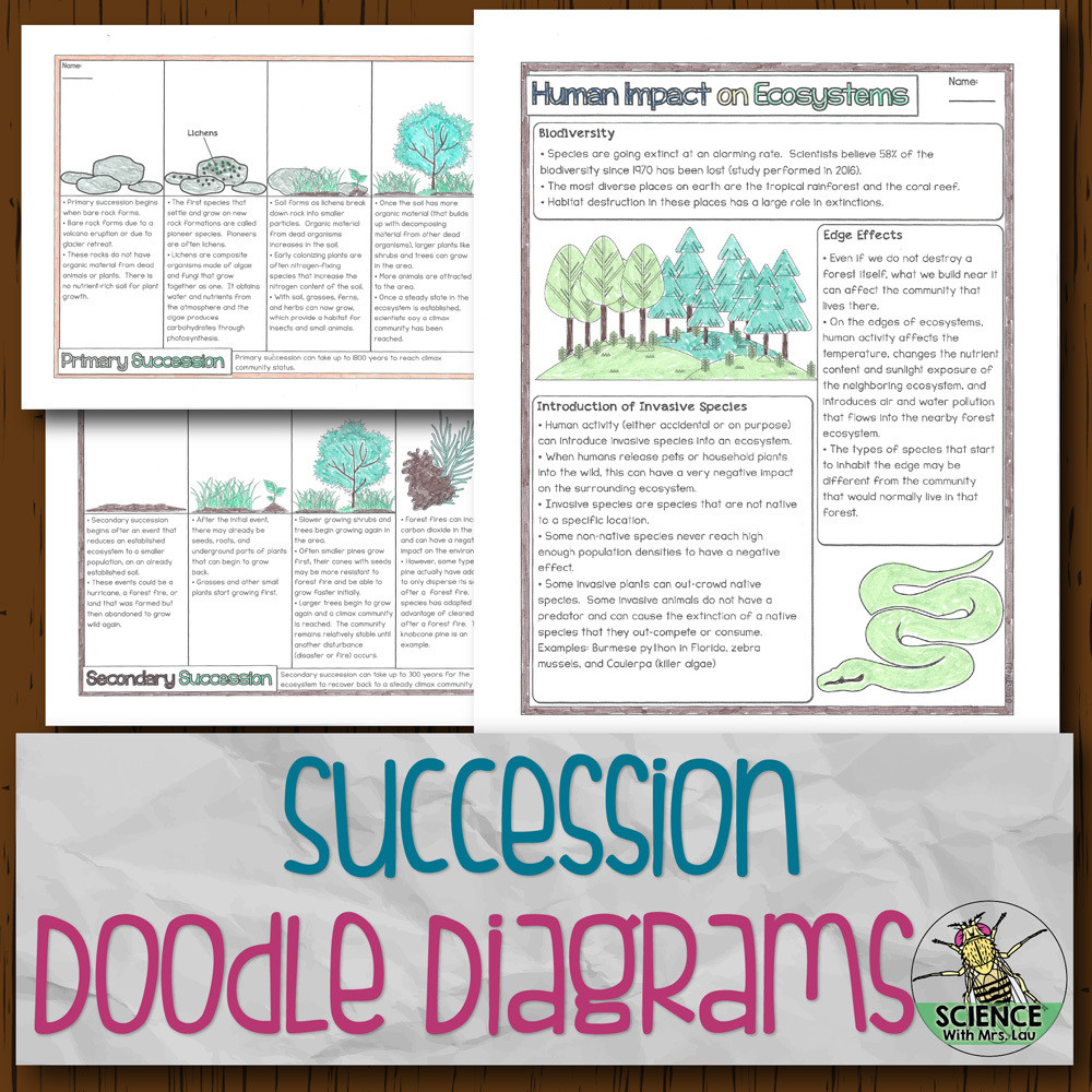 Succession Doodle Diagrams | Store - Science and Math with Mrs. Lau