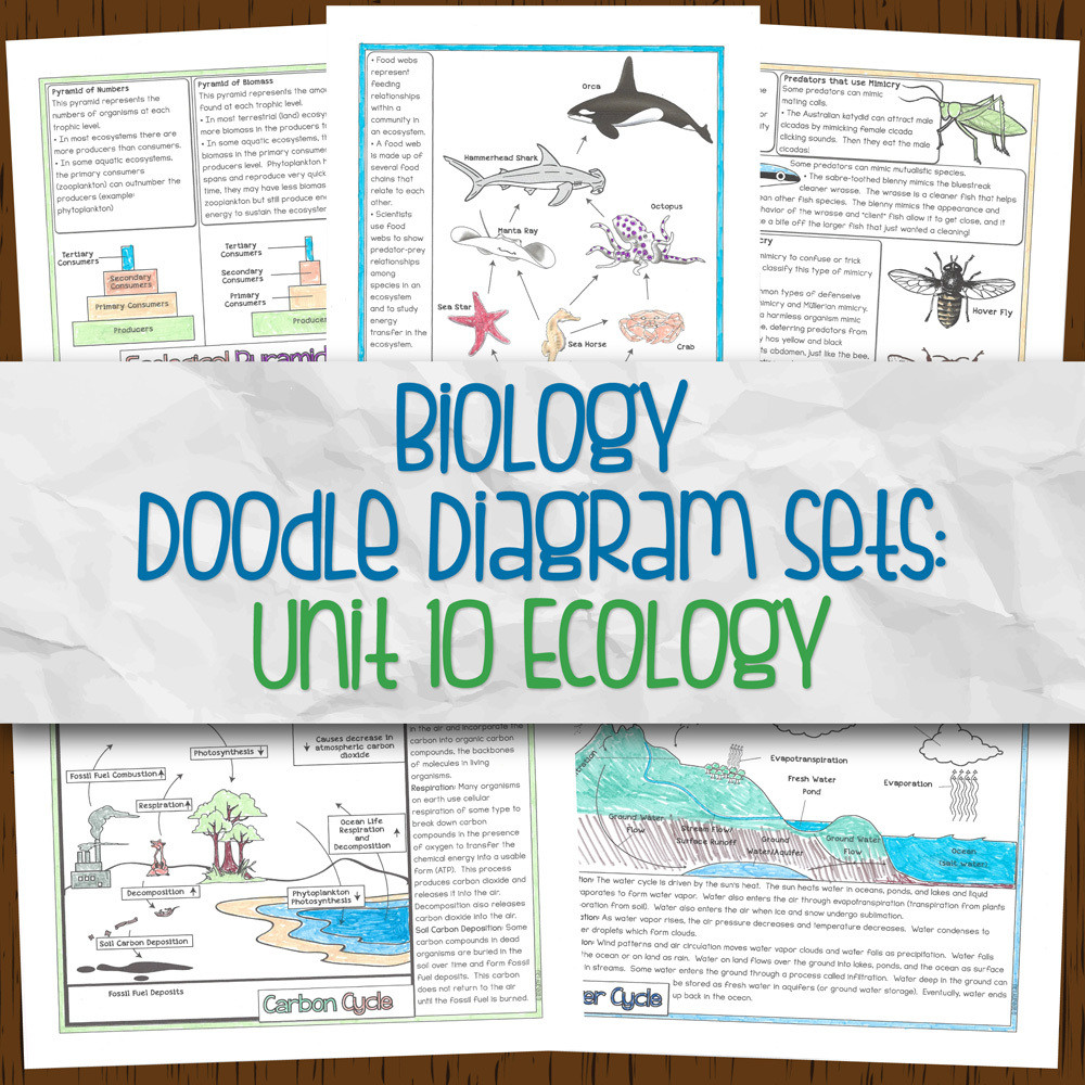 Biology Unit 10 Doodle Diagram Sets for Ecology | Store - Science and ...