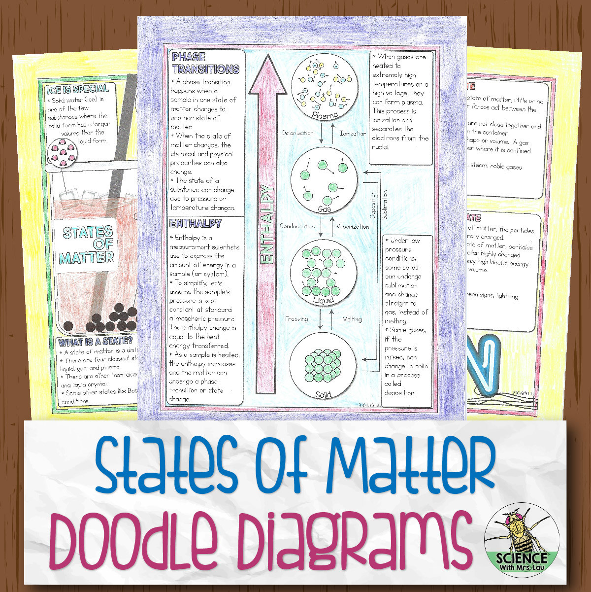 States of Matter Doodle Diagrams | Store - Science and Math with Mrs. Lau