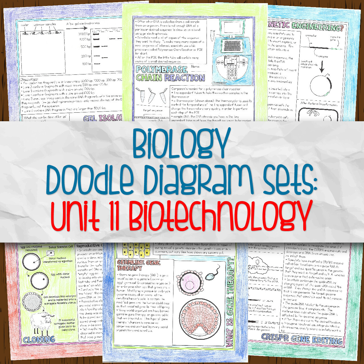 Biology Unit 11 Doodle Diagram Sets for Biotechnology | Store - Science ...