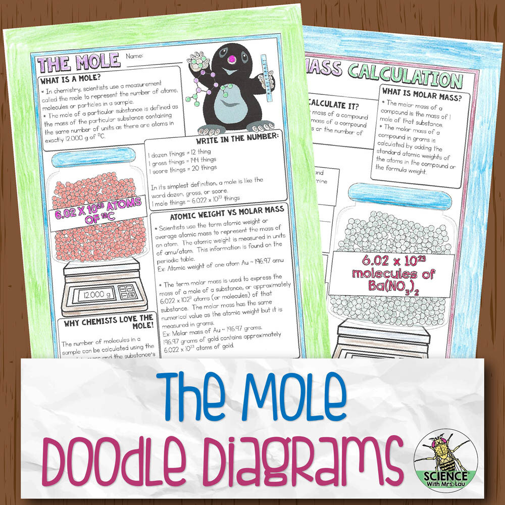 The Mole Chemistry Doodle Diagrams | Store - Science and Math with Mrs. Lau