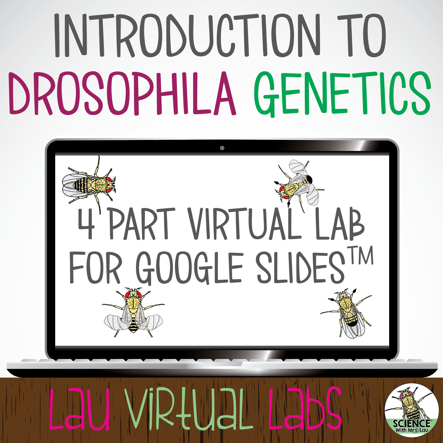 Virtual Fruit Fly Lab made for Google Slides ™ | Store - Science and ...
