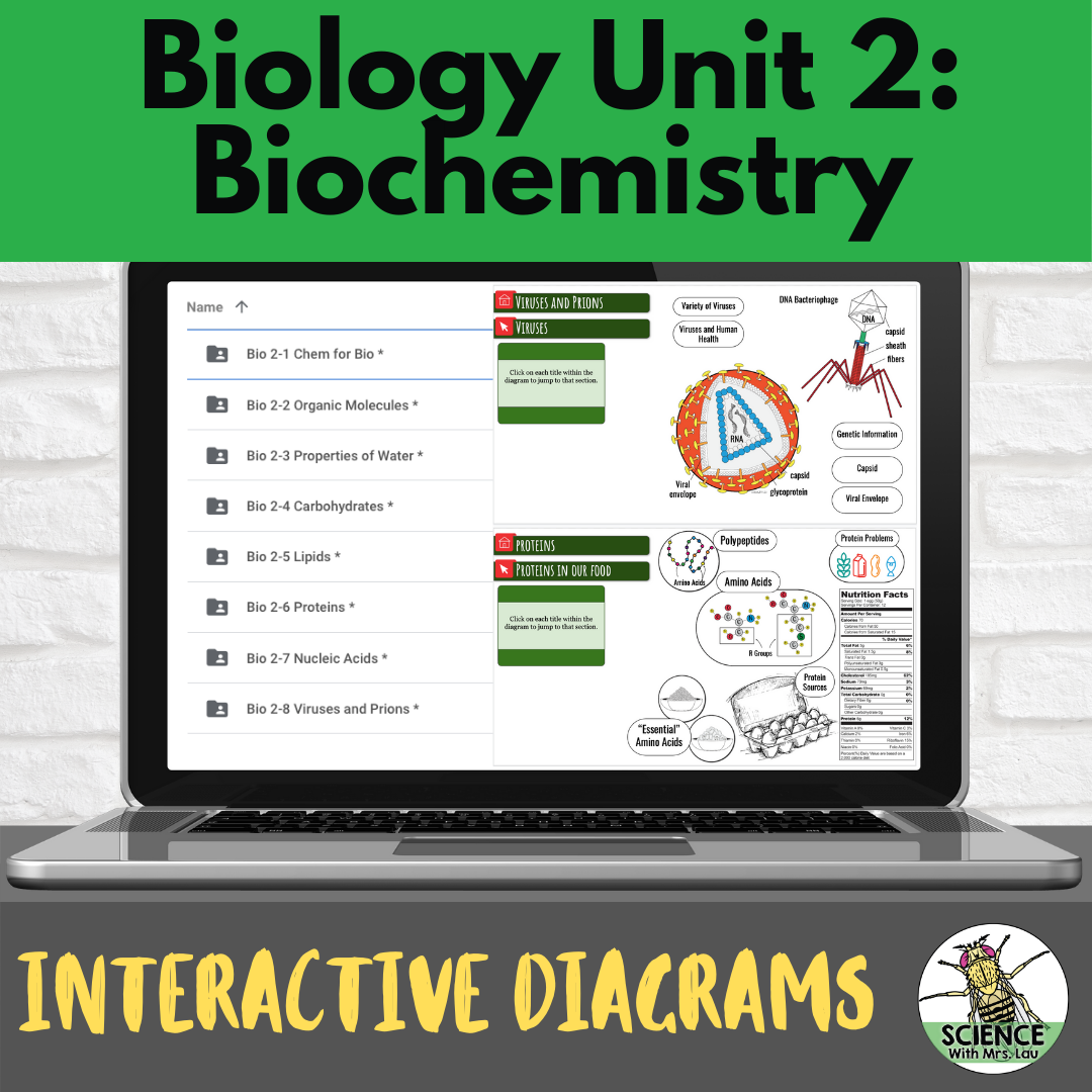 Biology Interactive Diagrams: Unit 2 Biochemistry | Store - Science and ...