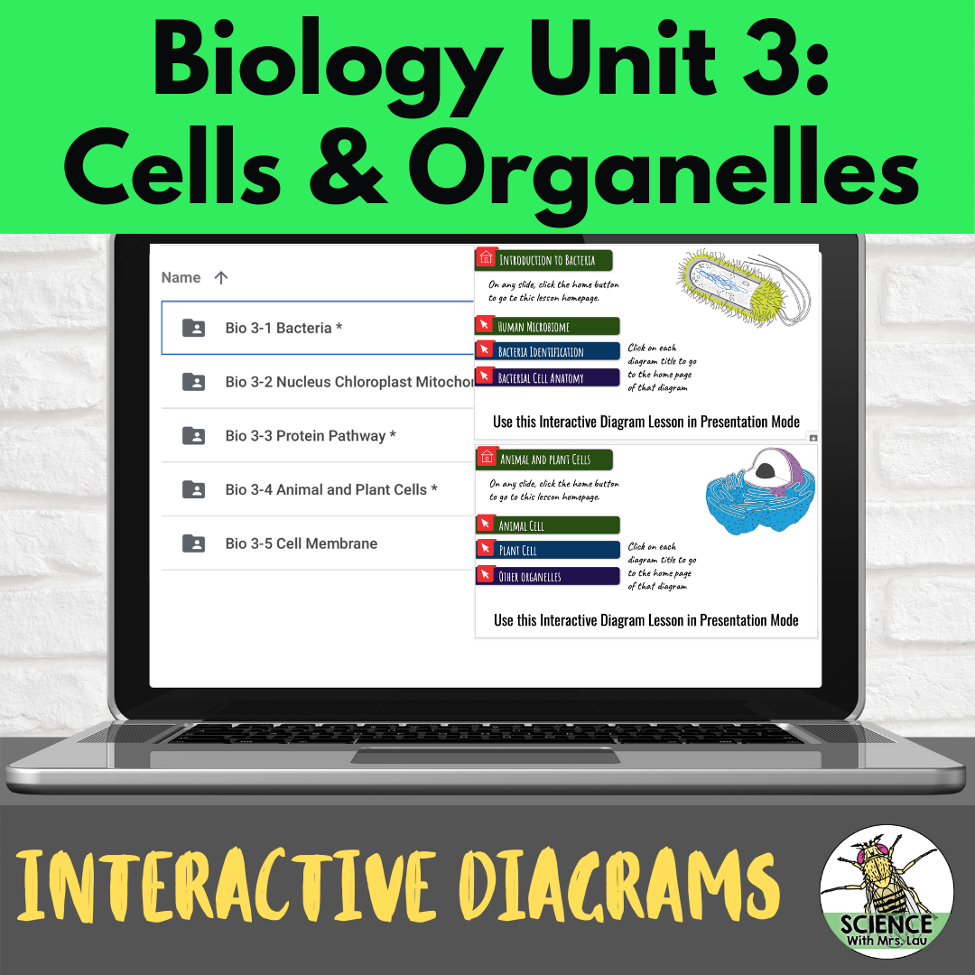 Biology Interactive Diagrams: Unit 3 Cells + Organelles | Store ...