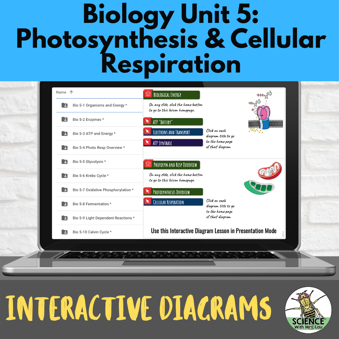 Biology Interactive Diagrams: Unit 3 Cells + Organelles | Store ...