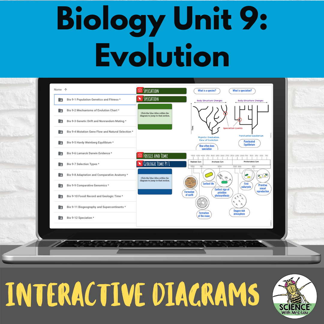 Biology Interactive Diagrams: Unit 3 Cells + Organelles | Store ...