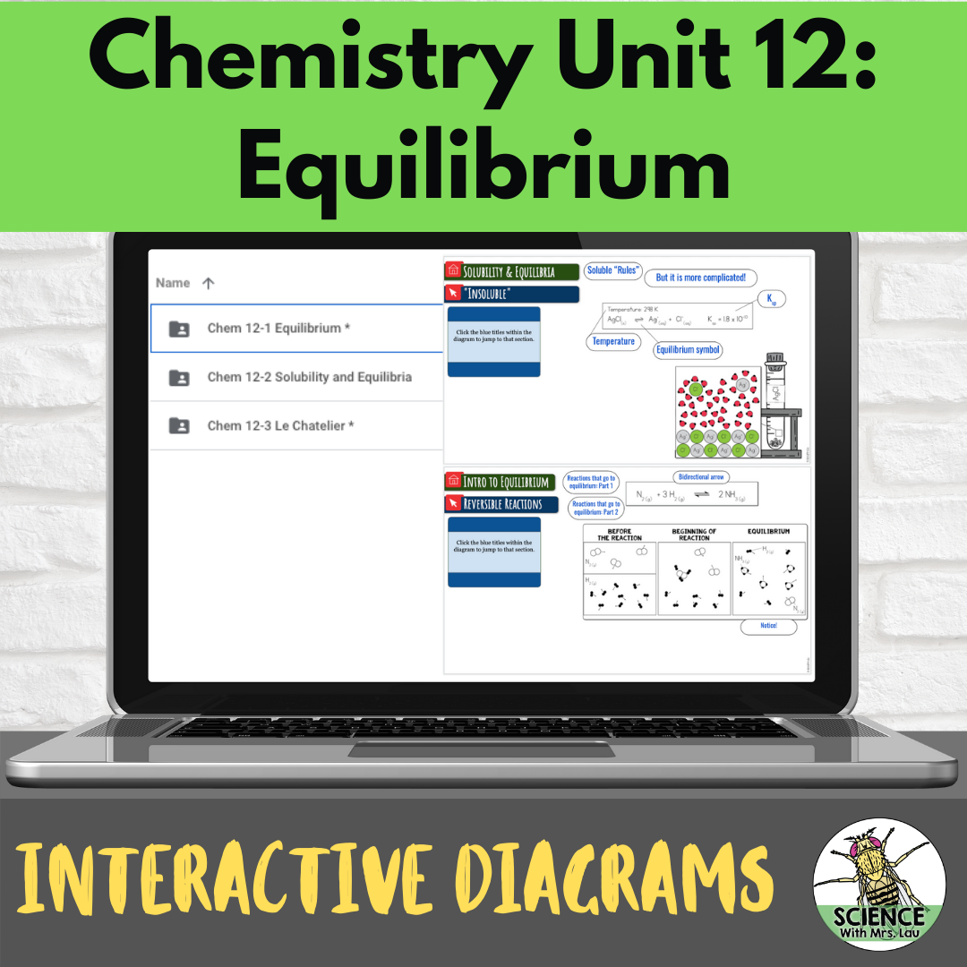 Chemistry Interactive Diagrams Unit 12 Equilibrium | Store - Science ...