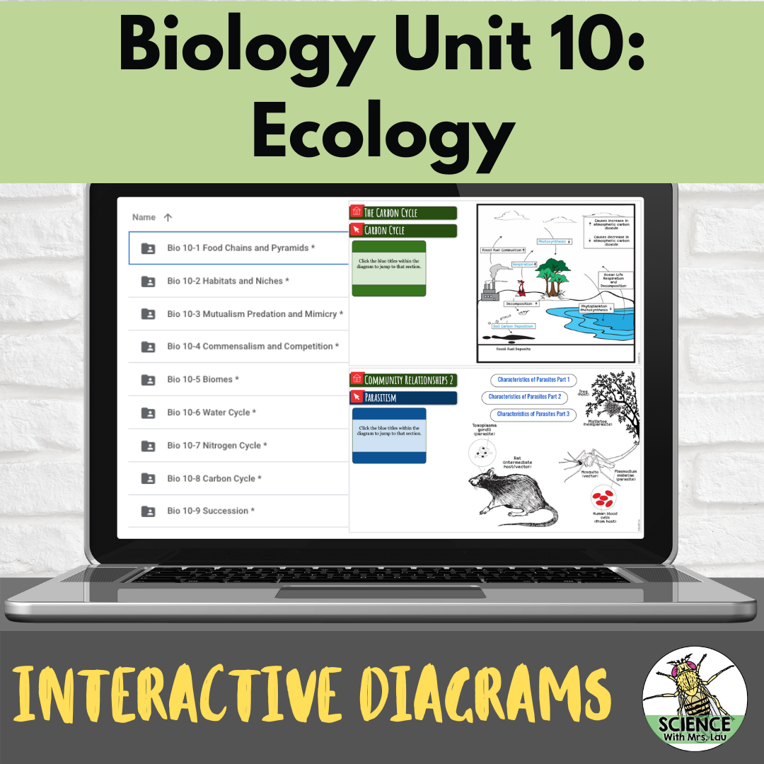 Biology Interactive Diagrams: Unit 3 Cells + Organelles | Store ...
