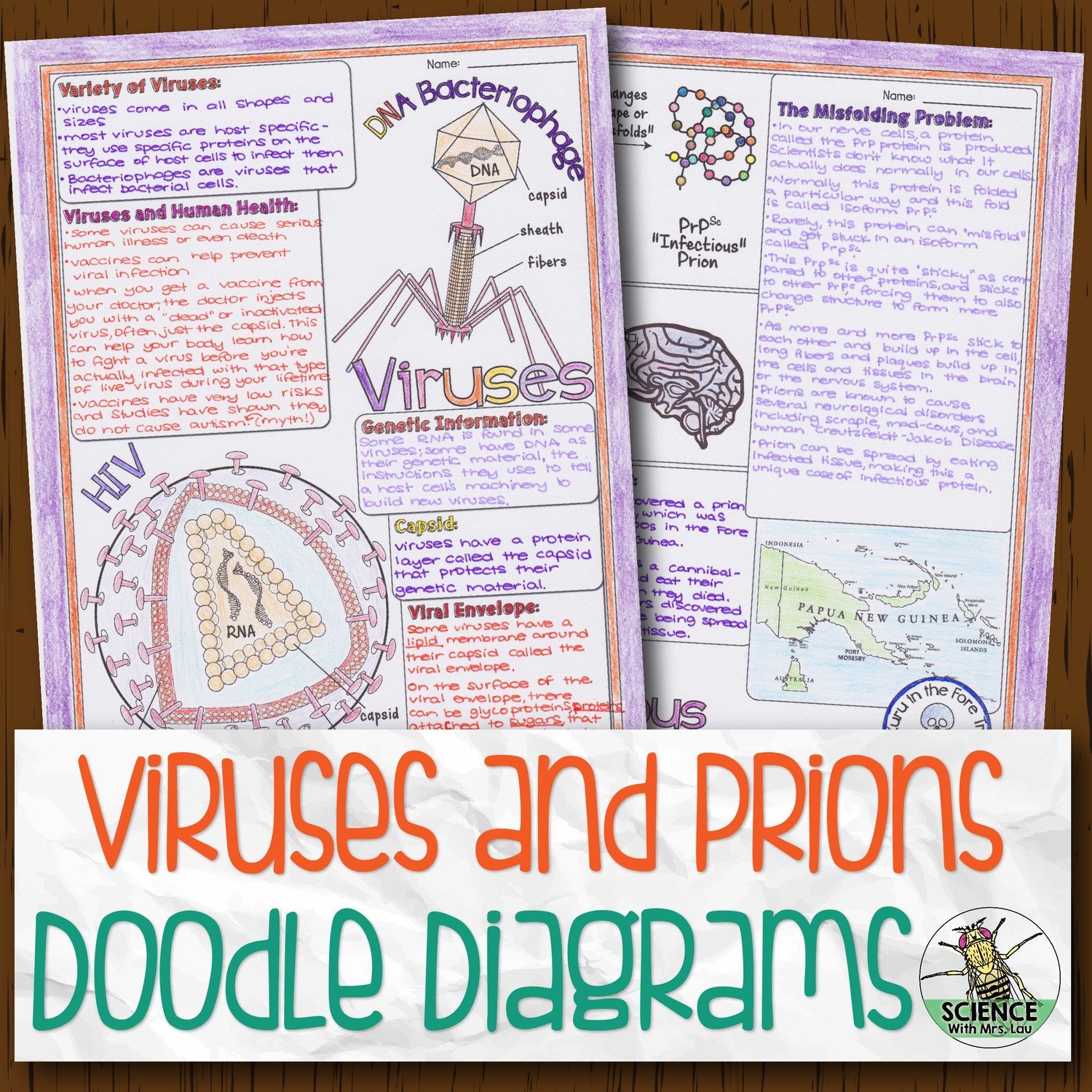 Viruses and Prions Doodle Diagrams | Store - Science and Math with Mrs. Lau